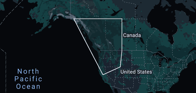 Trusted Top Registered Maine Coon Cat Breeders